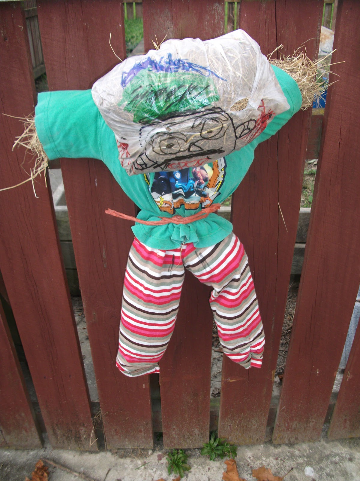 Mrs Bizzy's Class Blog: Scarecrows from Space
