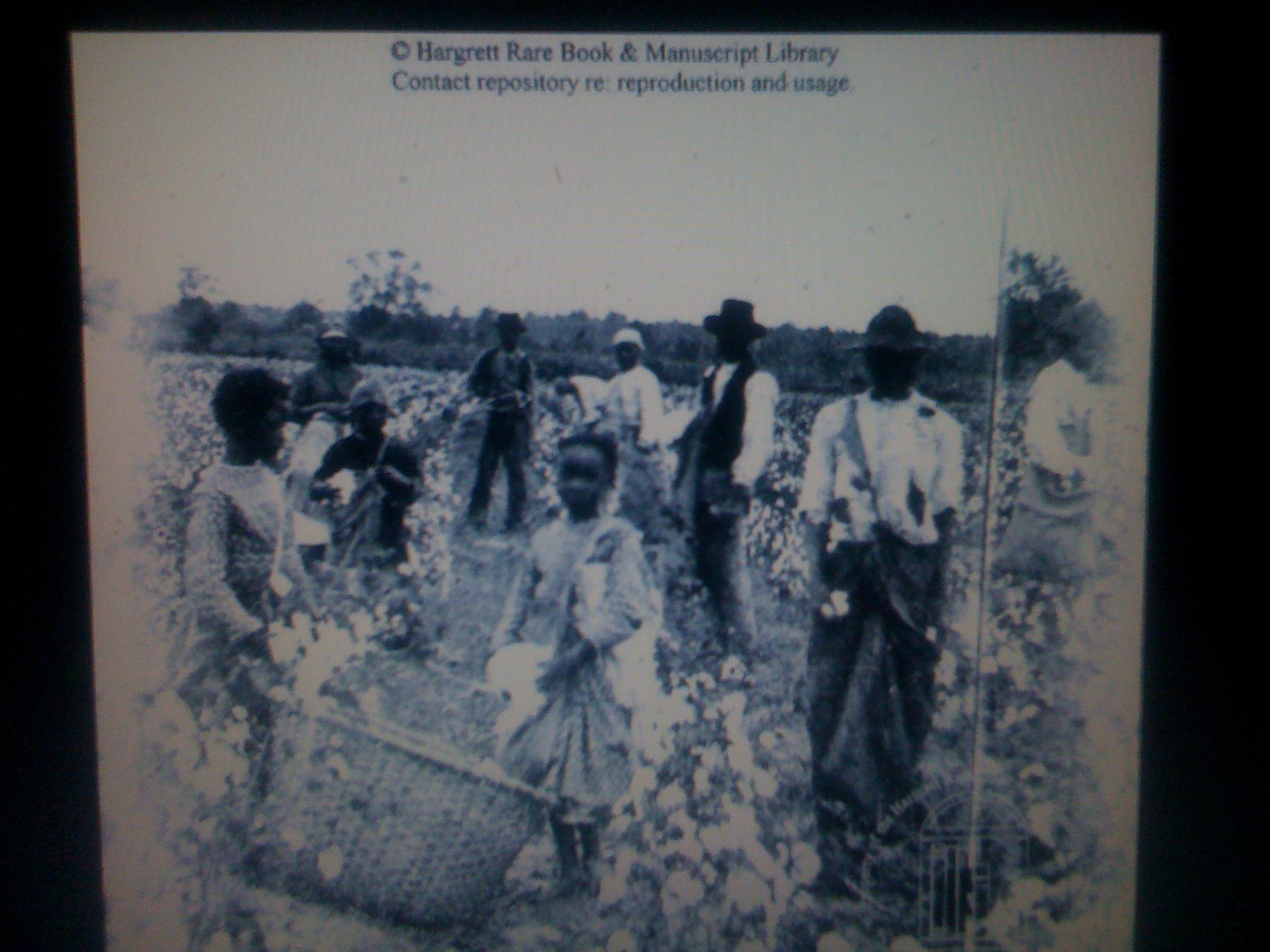 THE BLACK SOCIAL HISTORY:: BLACK SOCIAL HISTORY: FRENCH SLAVE TRADE AND ...