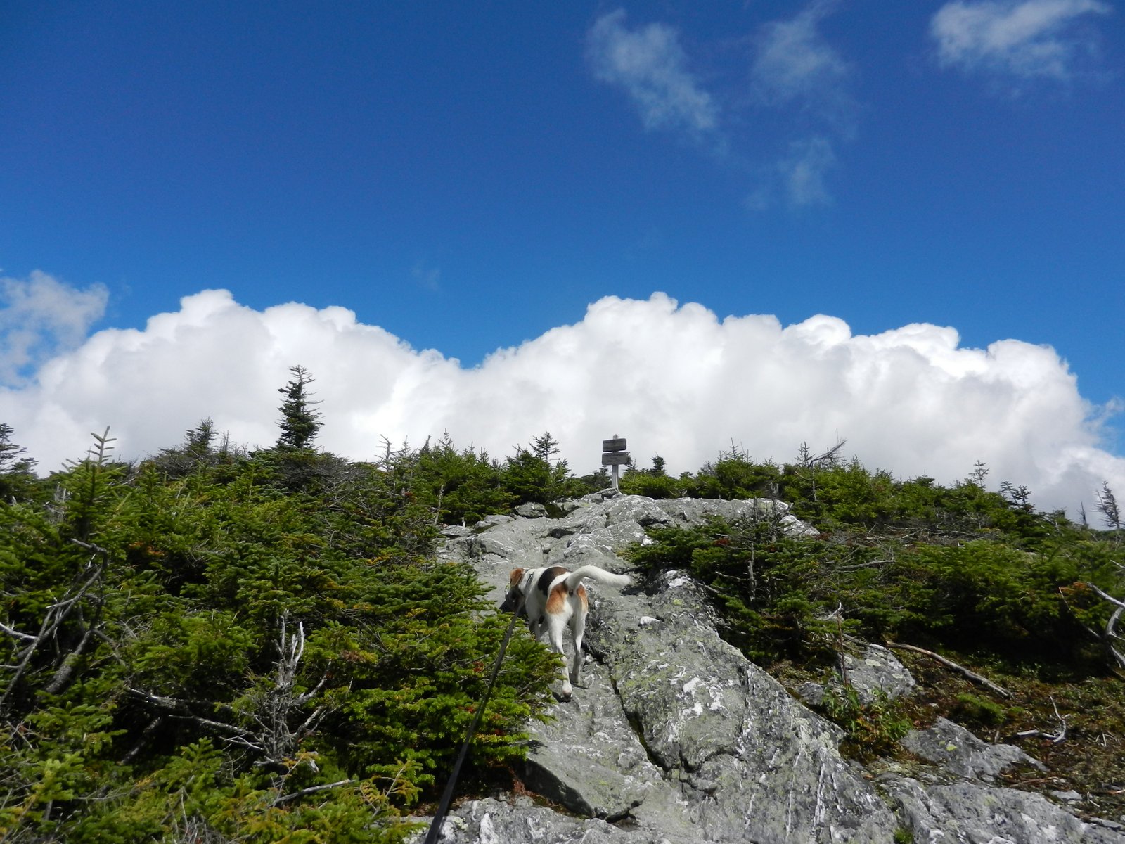 Off on Adventure: Mount Abraham, VT - 8/18/12