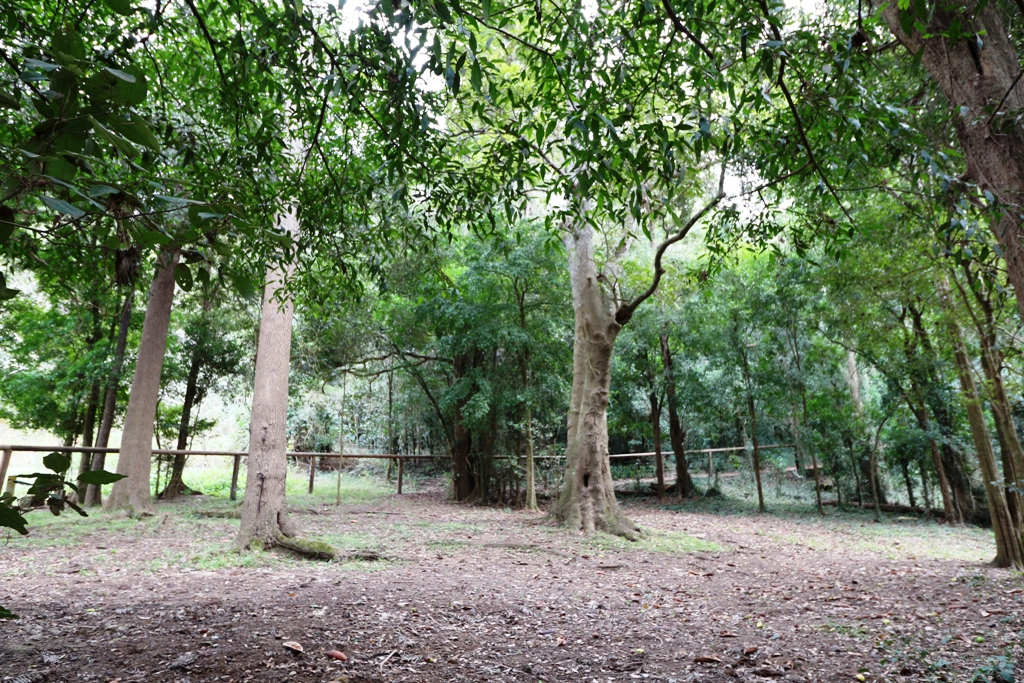 National Park Odyssey: Glastonbury Creek Campground, Brooyar State ...