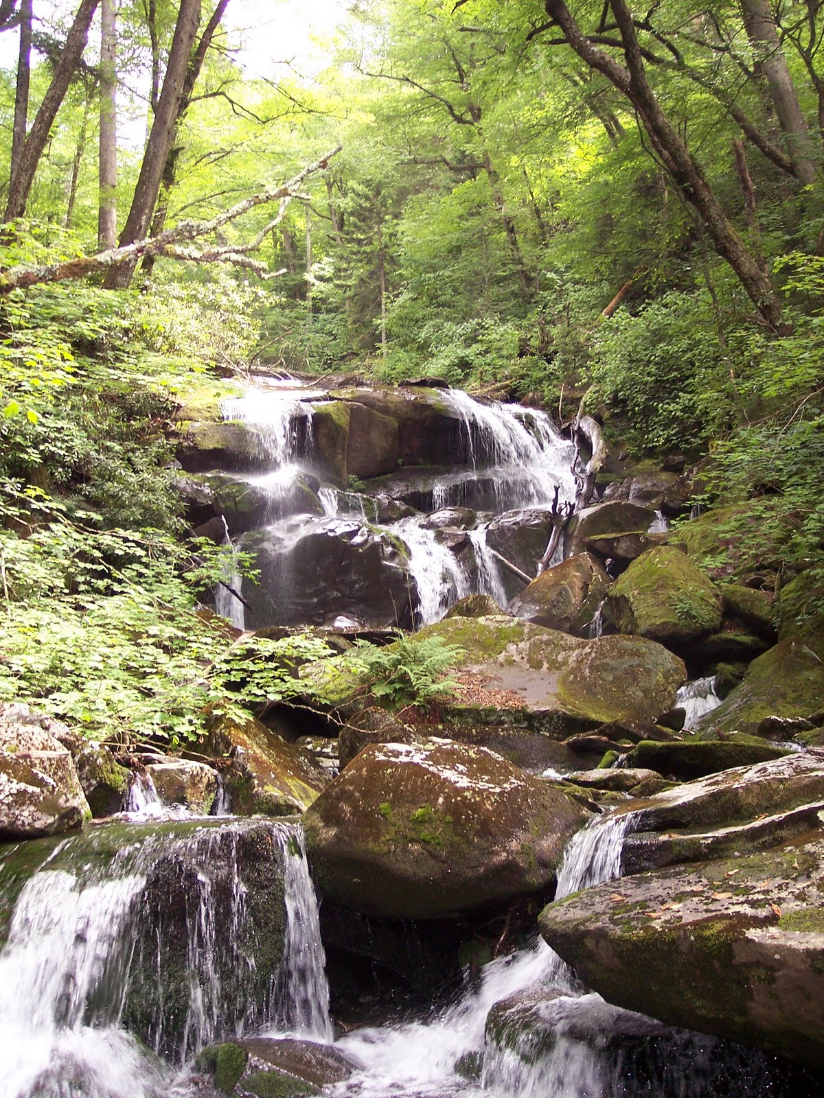 Greg Hoover: Upper Ramsey Cascades (Part 2 of 2)