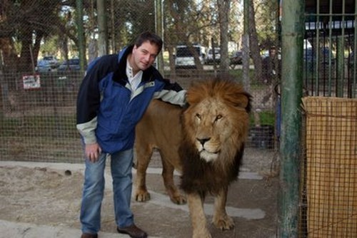 For The Sake of Us : Worlds Most Dangerous Zoo Photos With Lion