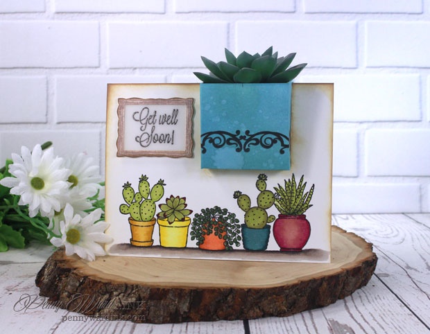 Succulent in a Box with Penny Black | Penny Ward INK