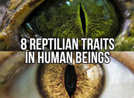 SACH BHARAT: Some Reptilian Traits in Human Beings