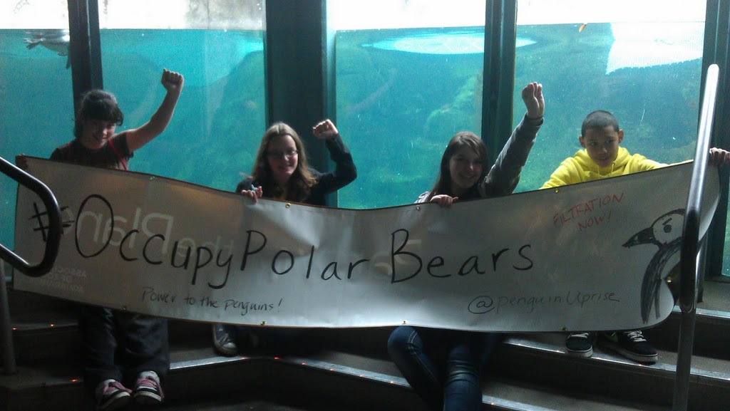 Occupy Polar Bears!