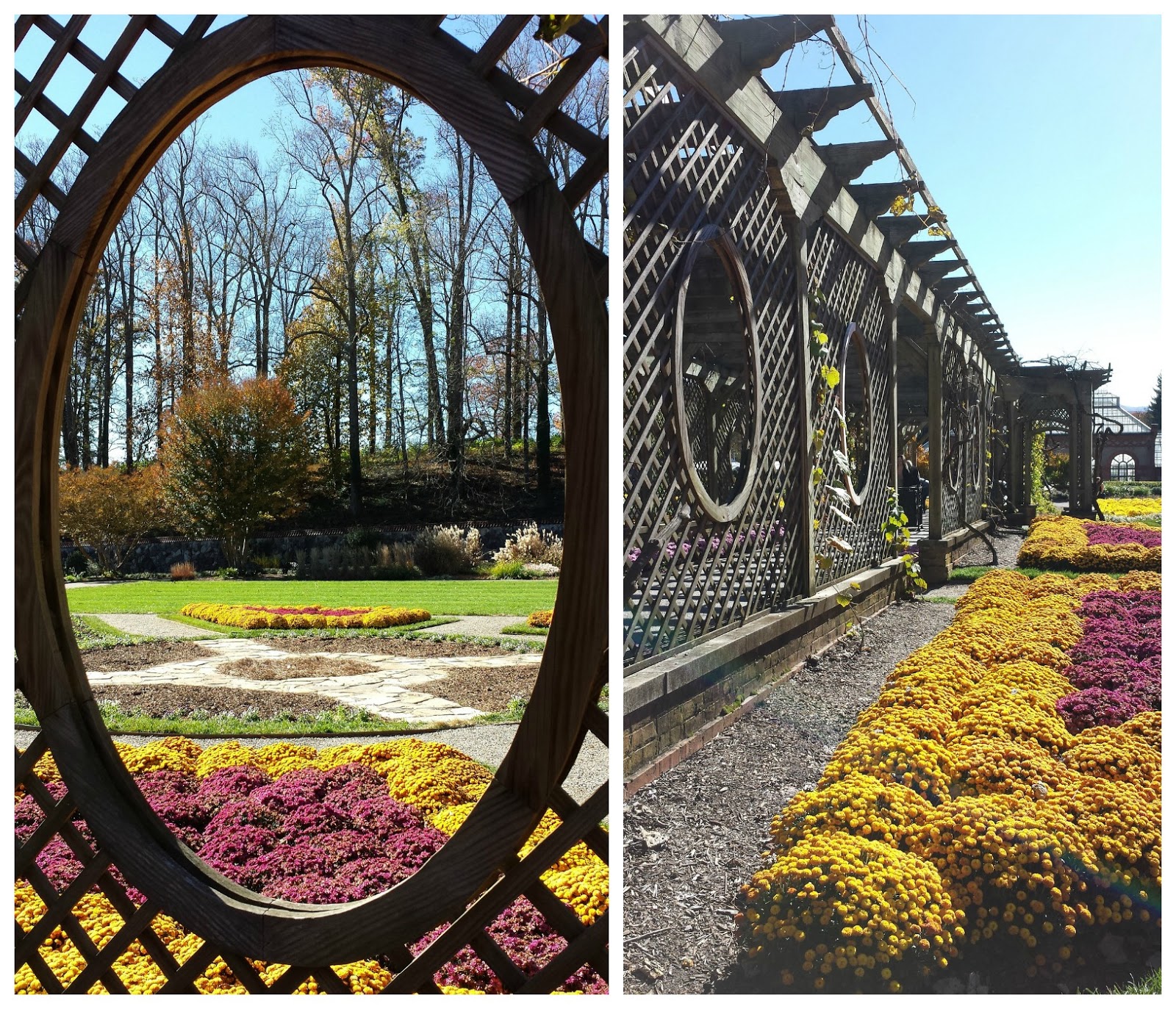 FOCAL POINT STYLING: Seasons Change - Fall Foliage at the Biltmore Estate