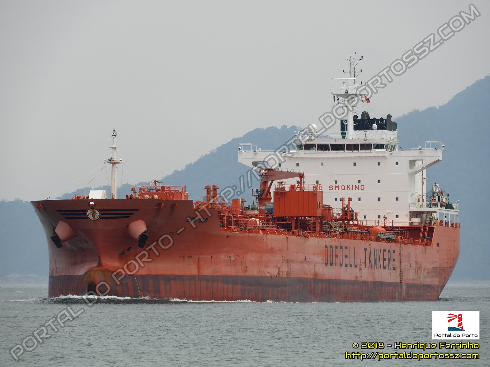 Bow Elm - Portal do Porto