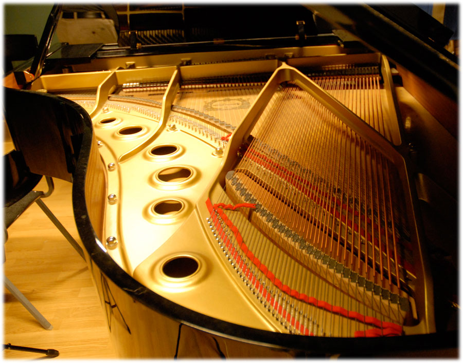 Janikan pieni maailma: Porovalot valaisevat syksyn pimeydessä