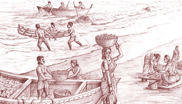 Origins of Tamils?[Where are Tamil people from?] PART :79 ~ Theebam.com