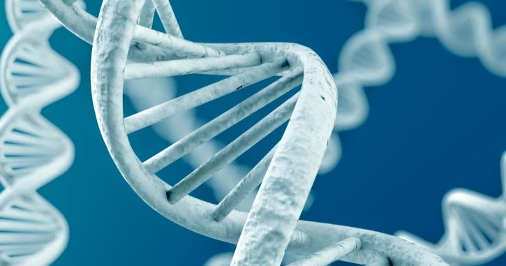 Sinclair DNA: Sinclair DNA Conclusions Are Sound