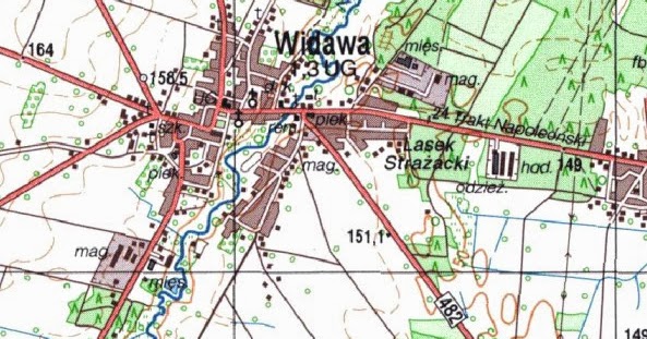 Wsie regionu sieradzkiego : Widawa