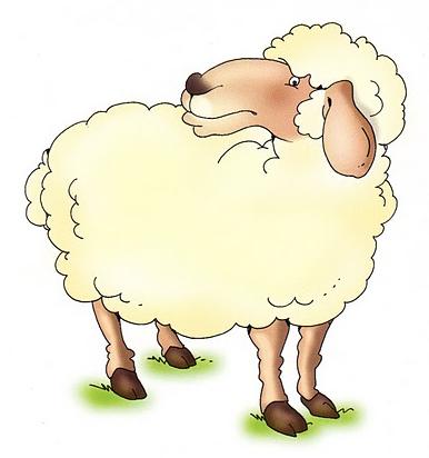 RECURSOS y ACTIVIDADES para Educación Infantil: Imagenes a color: OVEJAS