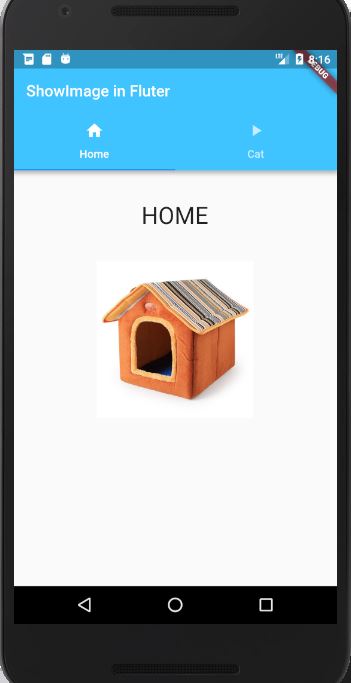 Cara Menampilkan Gambar pada Flutter dengan Penyimpanan Local dan Alamat URL Menggunakan Widget ...