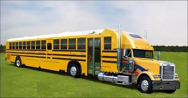 1001Archives: Cool School Buses