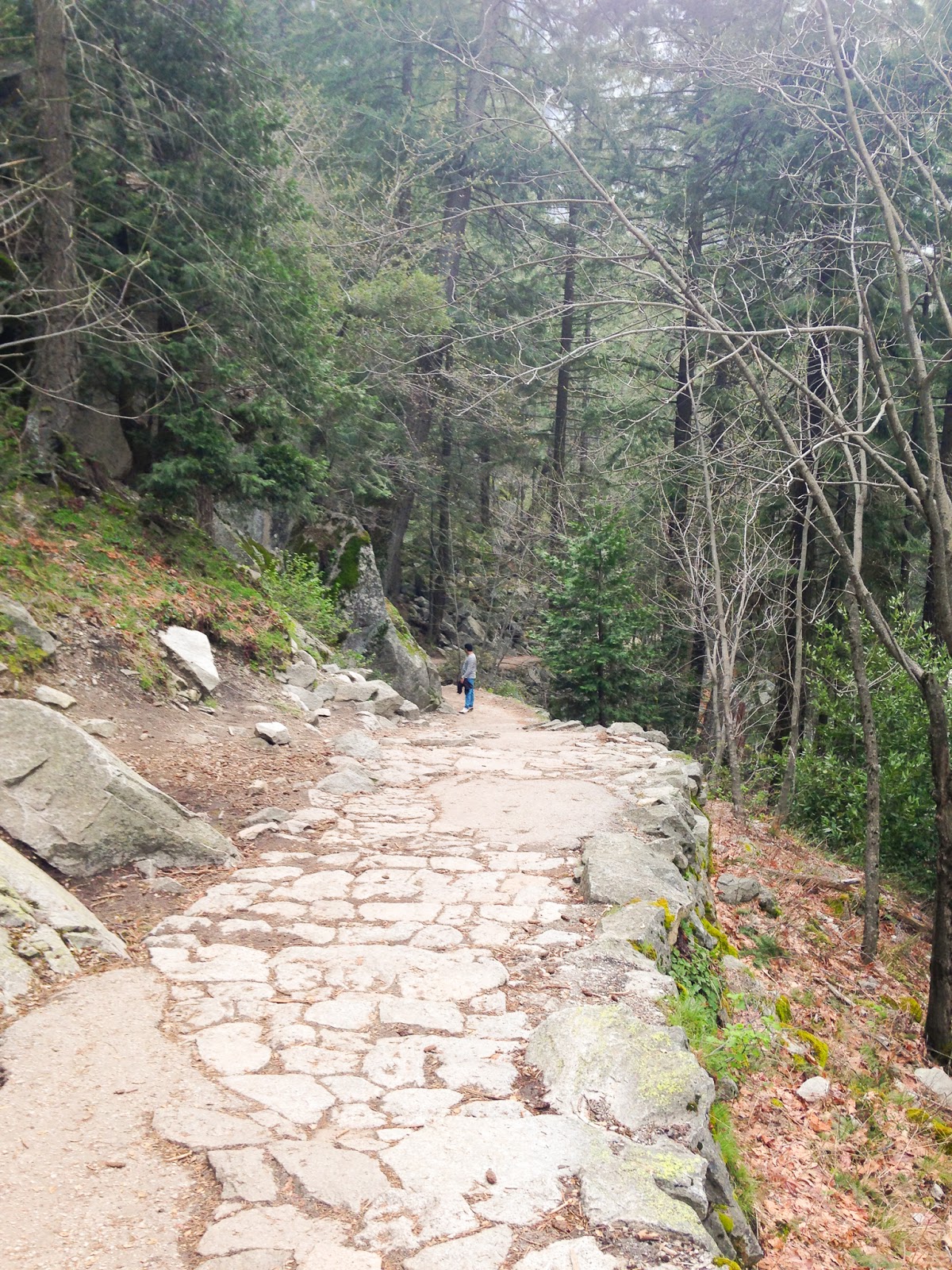 -Mist Trail: Yosemite National Park- | Where we truly belong