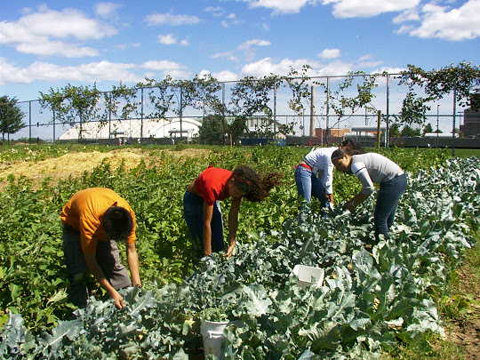 Empire State Farming: Happy Birthday, Smith-Hughes Act