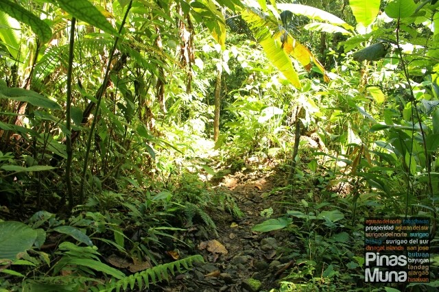 Bega Falls in Prosperidad, Agusan del Sur