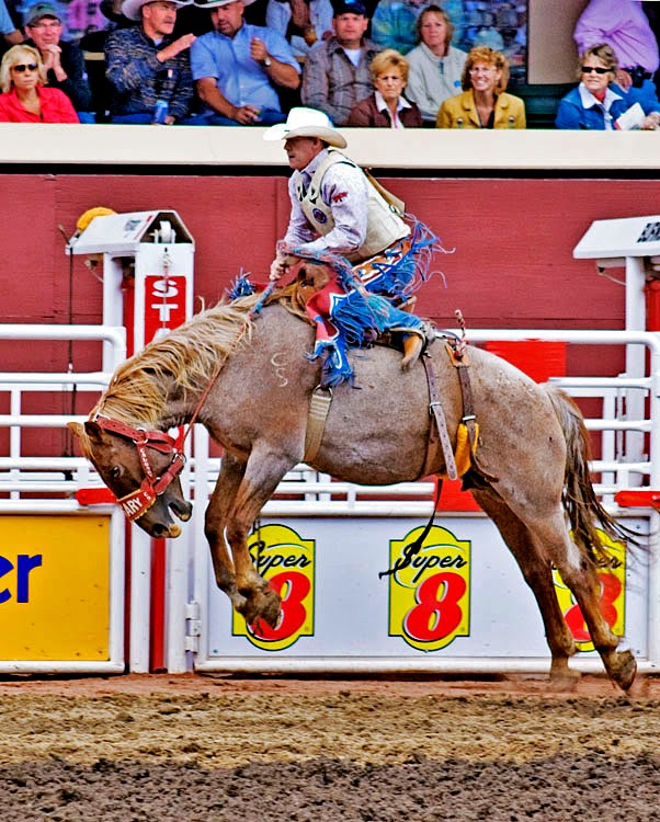 Fascinating Humanity: Canada: Calgary Stampede