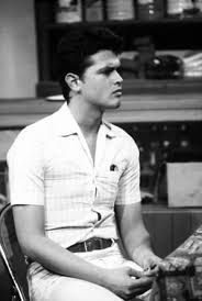 CARLOS VIVES BIOGRAPHY