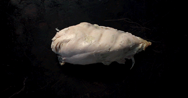 The 99 Cent Chef: Poaching a Chicken Breast - Video Recipe