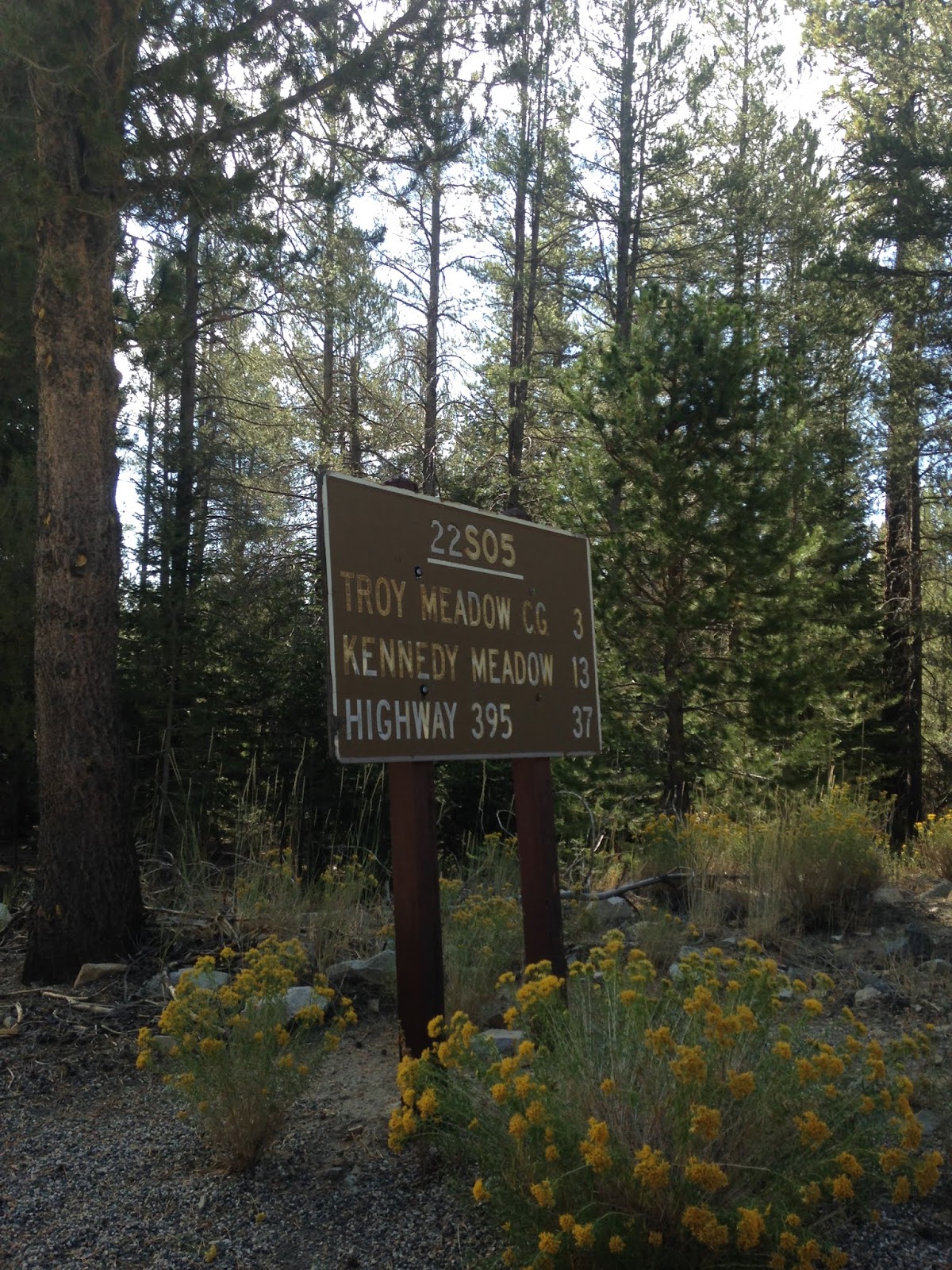 Trans-Sierra Highway Passes; Sherman Pass Road and Signed County Route J41