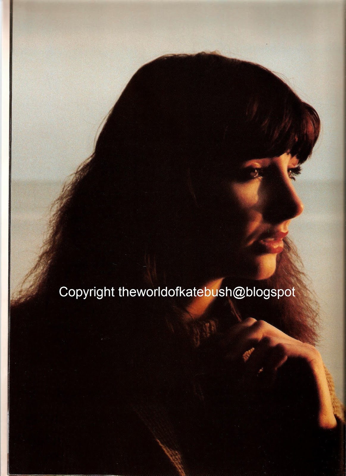 THE WORLD OF KATE BUSH: The Best of Kate Bush (Book)