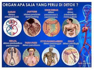 kenapa badan kita banyak toksin?? | YUK'S TROVE