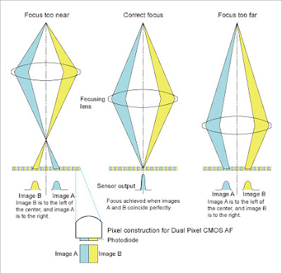 Image Sensors World: Canon Dual-Pixel AF Features in Camera Museum