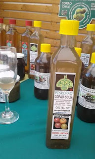 COPAOCHILE: AVANCES 2017 COPAO CHILE KACTO