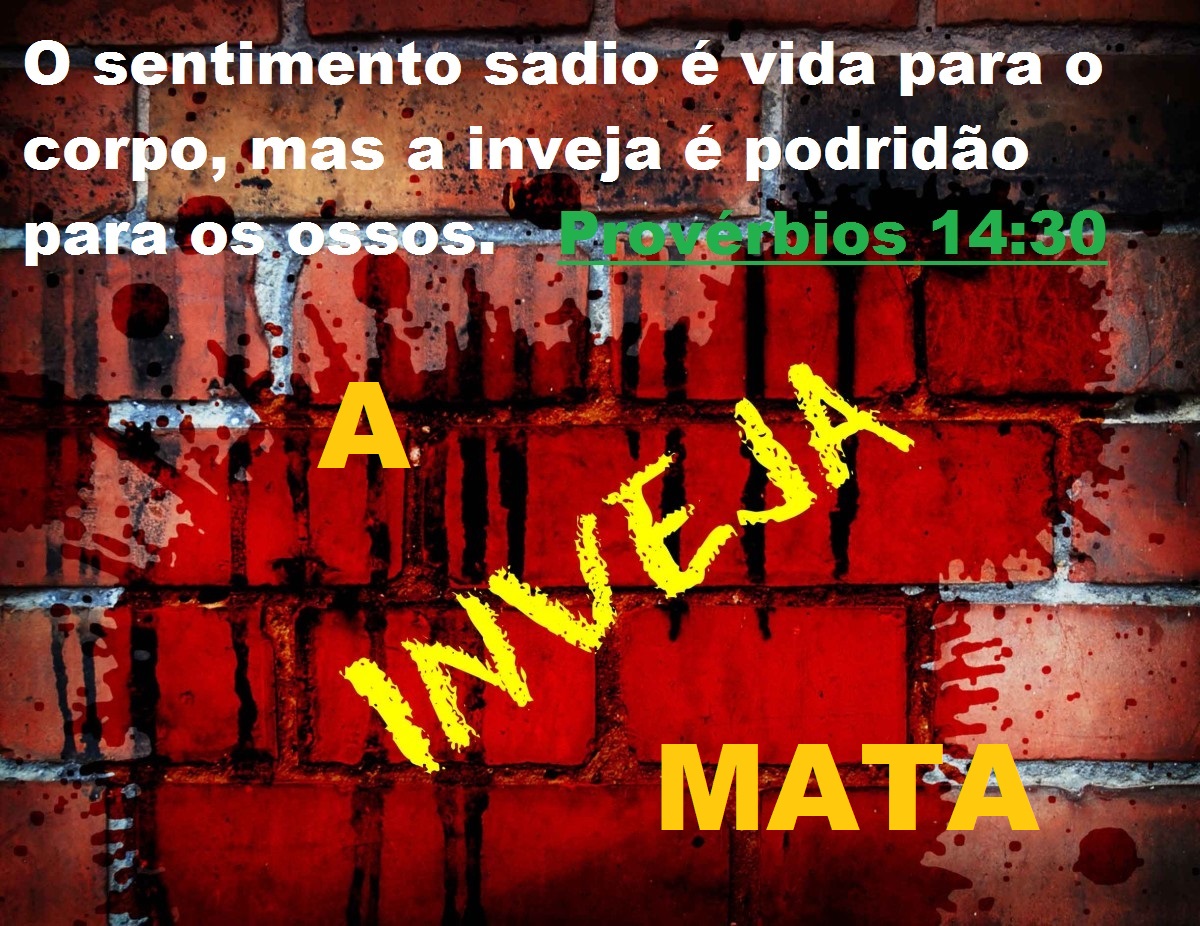 aproveitandoasoportunidades: A INVEJA LITERALMENTE MATA