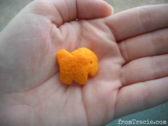 From Tracie: Goldfish Snacks Are An Even Bigger Catch
