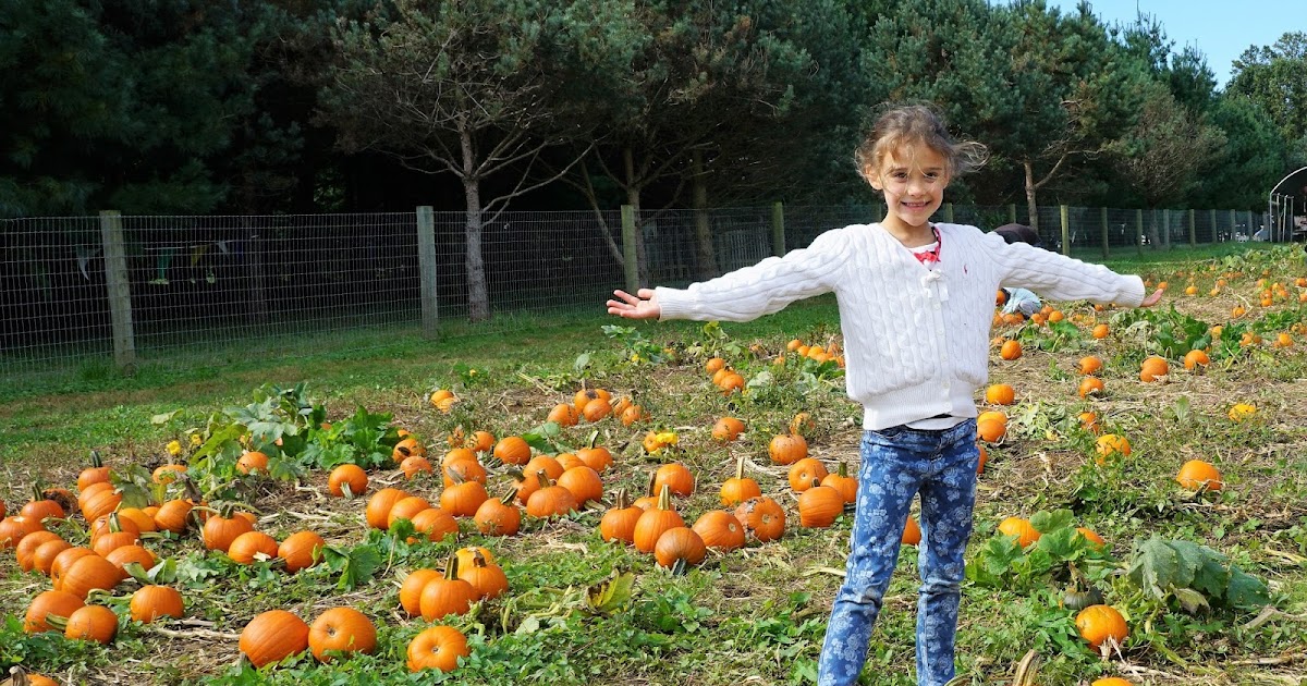 10 Pumpkin Patches & Fall Farms in Maryland | Stained with Style