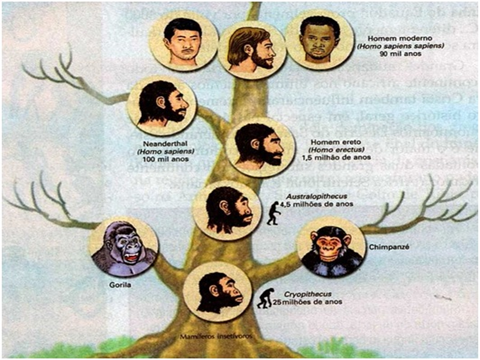 História na sala de aula:: Surgimento dos primeiros Seres Humanos
