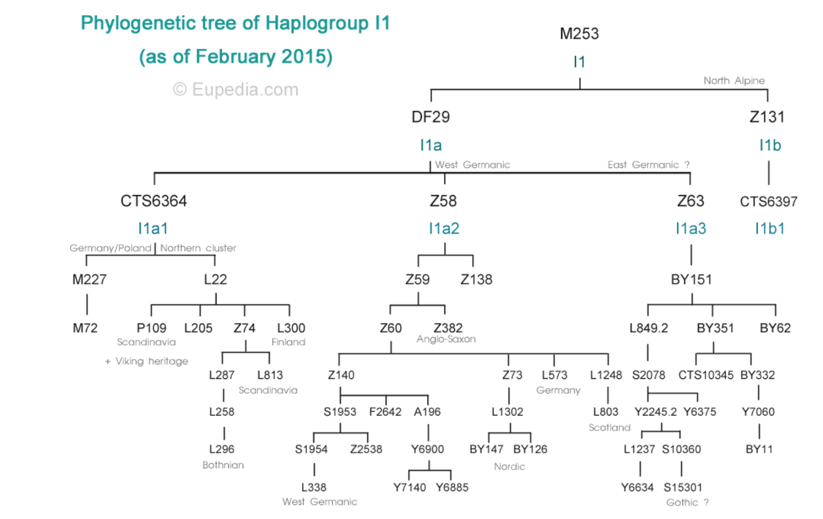 Call Me Ishmael: The I-M253 Y-Chromosome Haplogroup