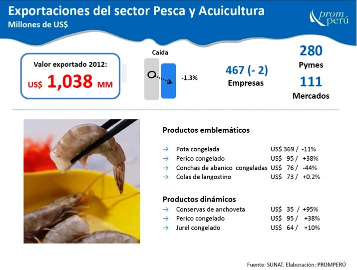 Exportación de Calamar Gigante (Pota) de Perú: DESCRIPCIÓN DEL PRODUCTO