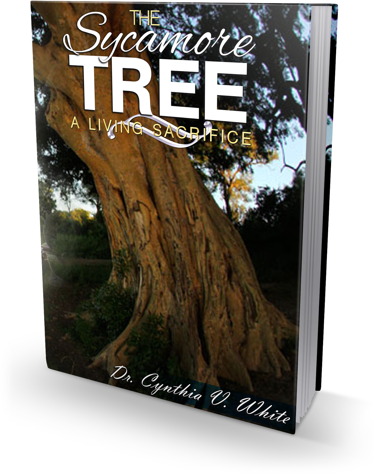 Dr. C. V. White: The Sycamore Fig Tree - A Living Sacrifice