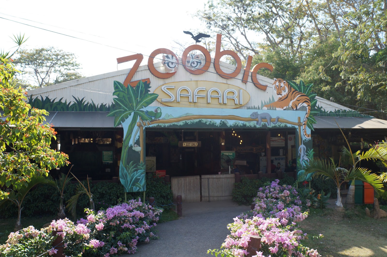 Zoobic Safari : Feeding the Lions in Subic Plus a Lot of Other ...