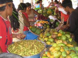 Índios Brasileiros: Culinária indígena