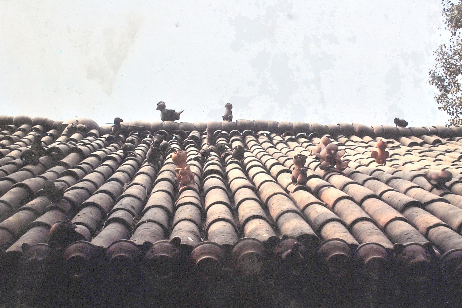 MANABODHA RANA - born to EARTH - The Barpali Days