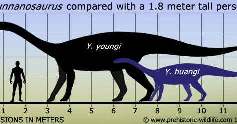 Extinct Animal of the Week: Silly Sauropodomorphs of Space