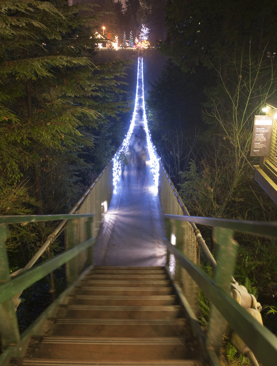Capilano Suspension Bridge, British Columbia, Canada | ARCHITECTURE