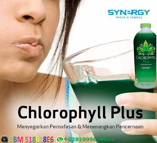 Manfaat chlorophyll Synergy