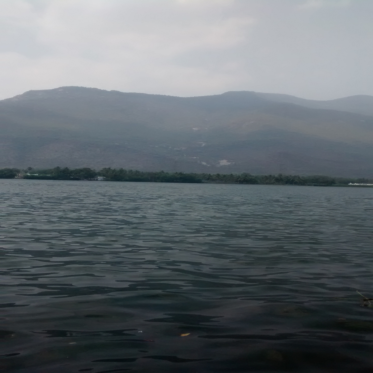 the river along poolampatti village