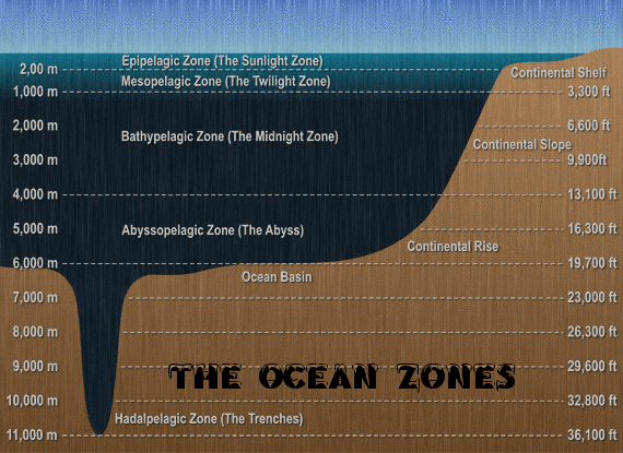 RockenRyan: January 2012