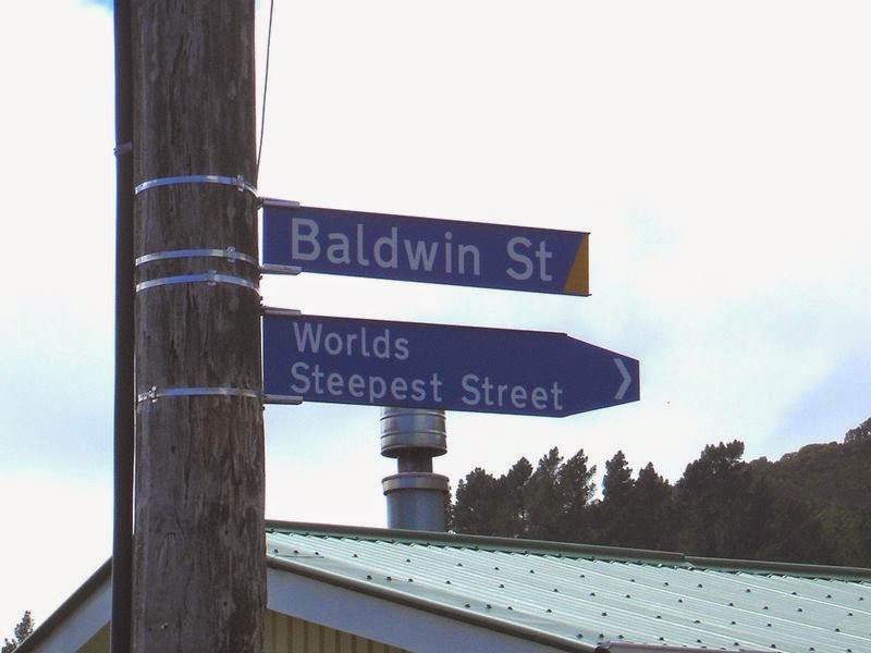 Steepest street in world | Baldwin street in New Zealand