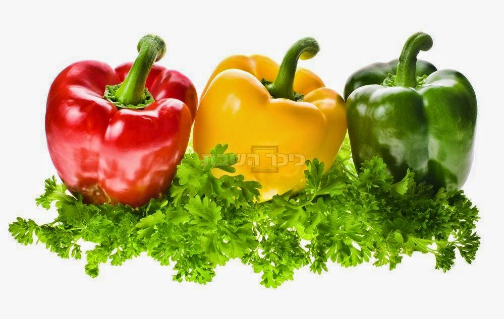 Kilimo Bora cha Pilipili Hoho