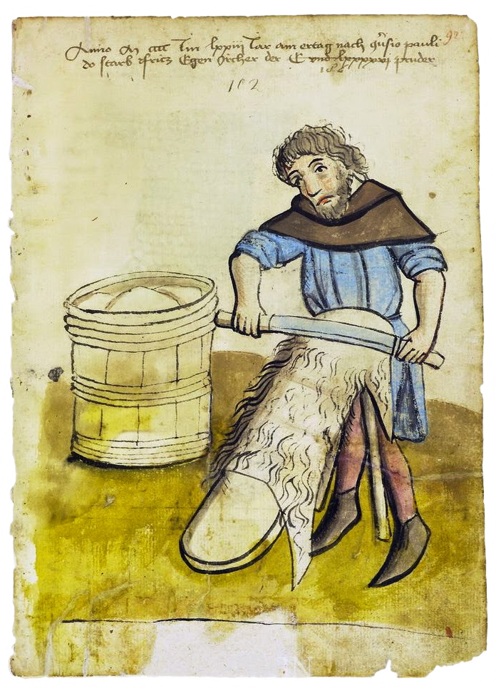 Diferencias entre el papiro y el pergamino (3º de ESO)