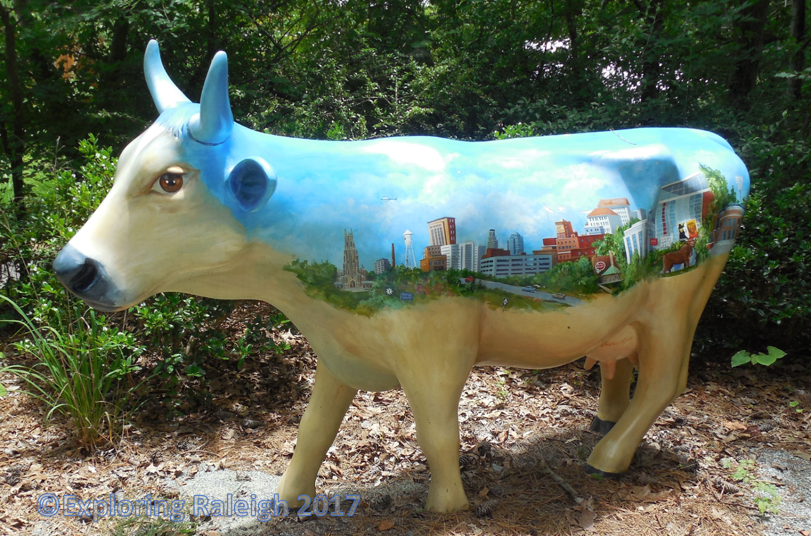 Raleigh Daily Photo: Bull Durham...Durham Bull