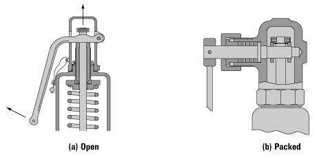 ဒူဒူႀကီး: Types of safety valves
