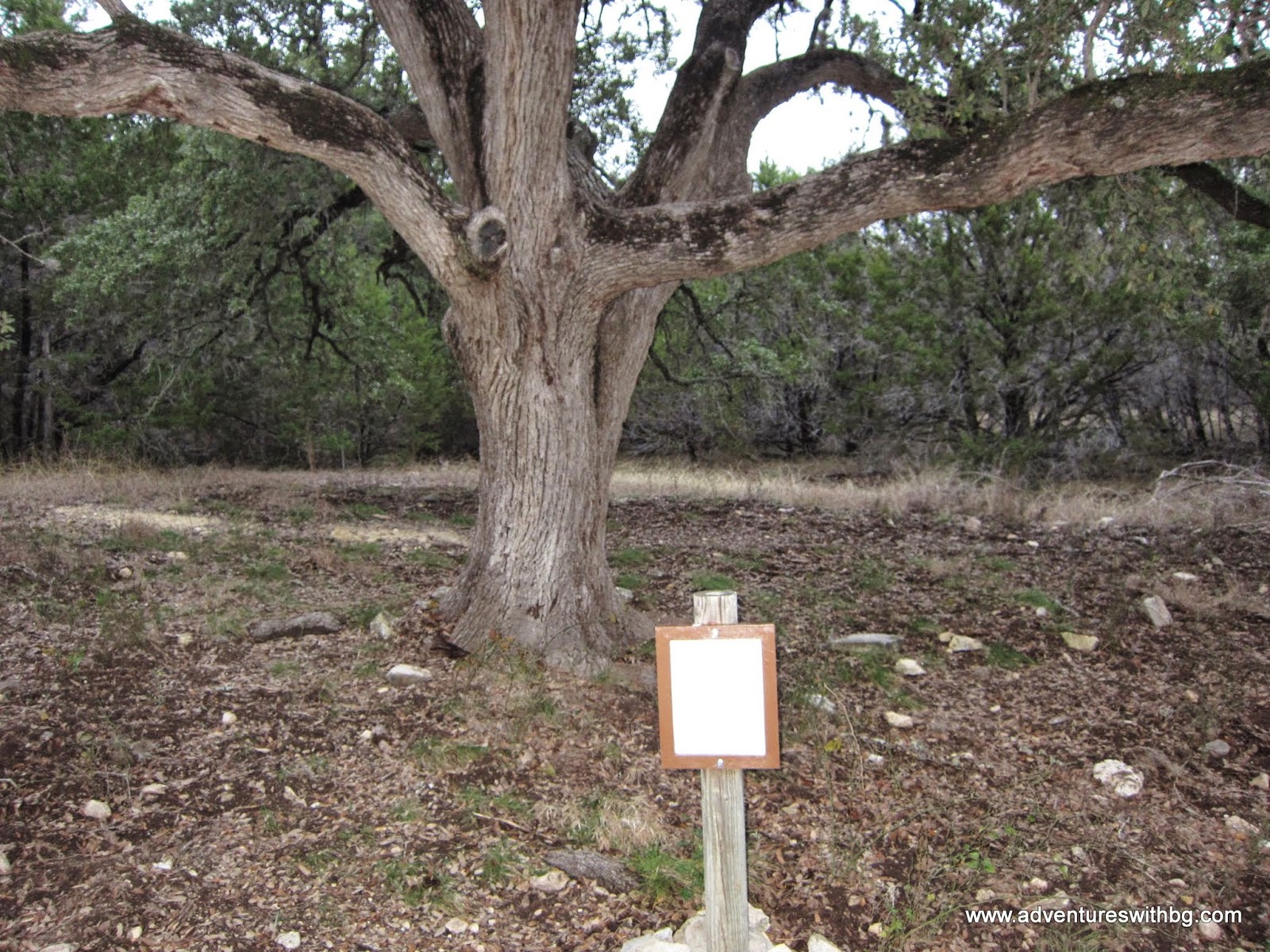 Trip Report: Pedernales Falls Day 1
